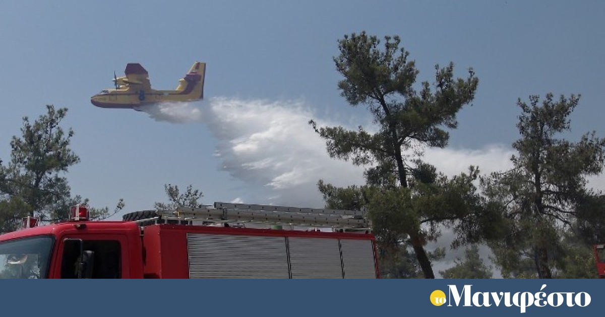 Φωκίδα: Φωτιά ξέσπασε σε δασική έκταση – Επιχειρούν και εναέρια μέσα