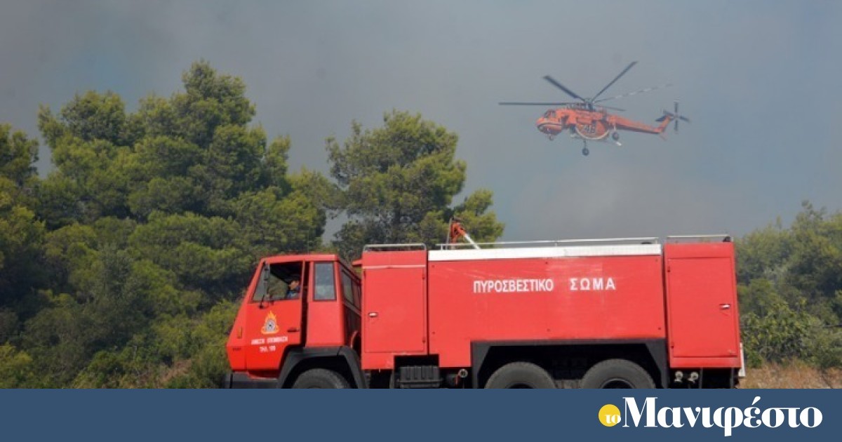 Πυρκαγιά στην Προσύμνη της Αργολίδας-Στη μάχη με τις φλόγες και εναέρια ...