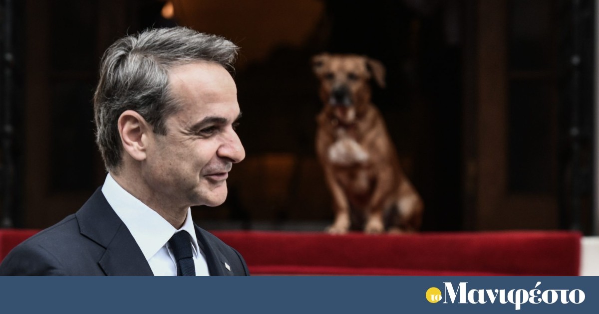 Μητσοτάκης: “Κανένα ζώο αδέσποτο, κανένα κακοποιημένο”
