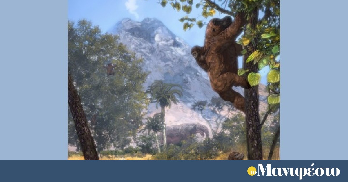 Γιατί οι πίθηκοι στάθηκαν όρθιοι – Τι δείχνει έρευνα