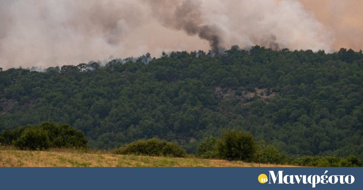 Υπό μερικό έλεγχο η φωτιά στη Μαυροσουβάλα Ωρωπού