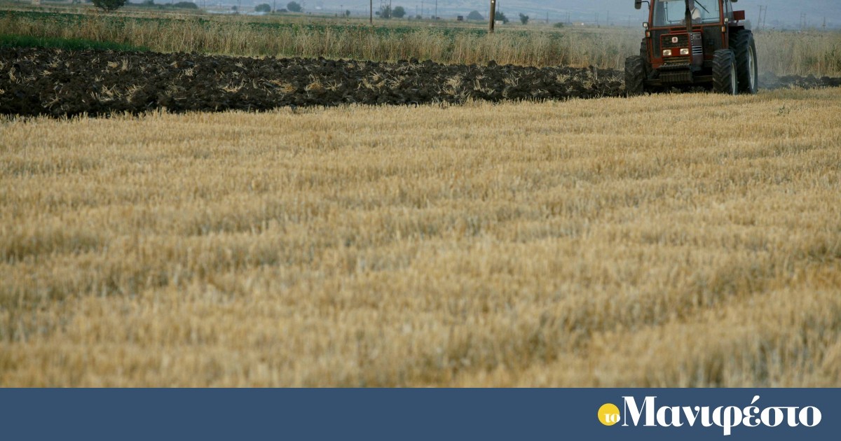 ΕΛΣΤΑΤ: αύξηση 30,6% στα αγροτικά εισοδήματα τον Ιούνιο