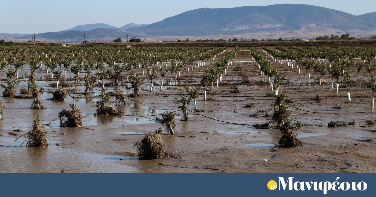 Θεσσαλία: ξεκίνησε η καταβολή αποζημιώσεων για τη φυτική παραγωγή