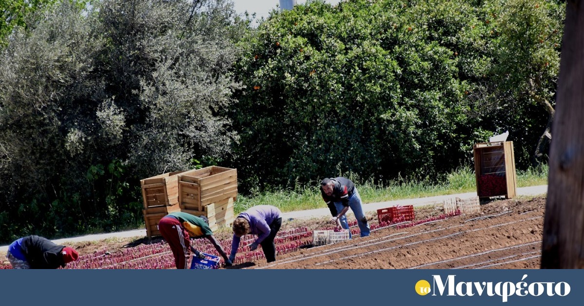Υπουργεία Εργασίας και Μετανάστευσης: Μπαίνει τάξη στην αταξία ...