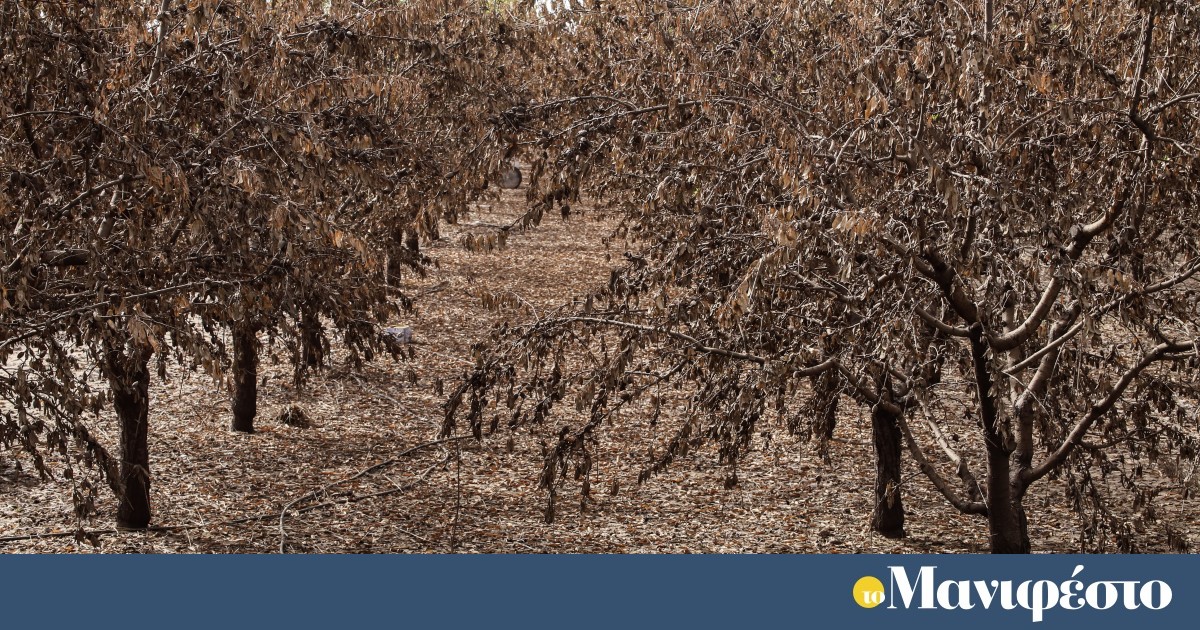 ΕΛΓΑ: καταγραφές ζημιών στις περιοχές που επλήγησαν από χαλάζι