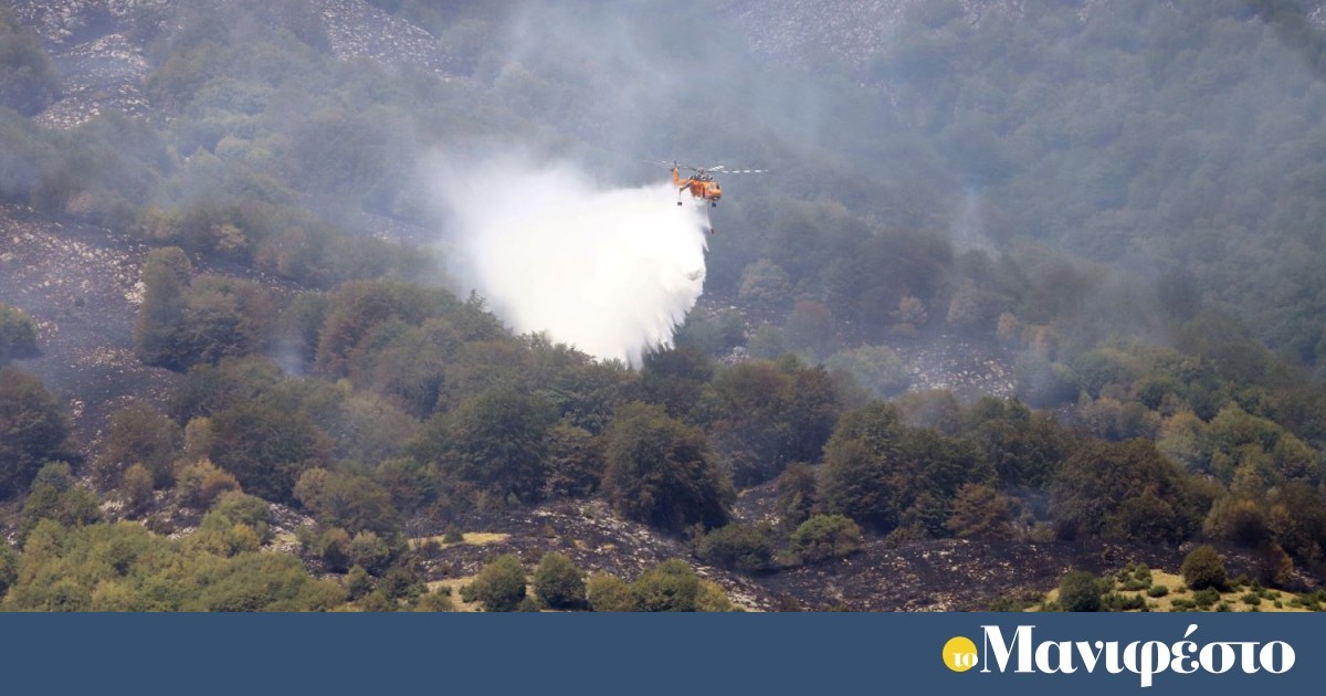 Πυρκαγιά σε δασική έκταση κοντά στο Βαρικό Φλώρινας