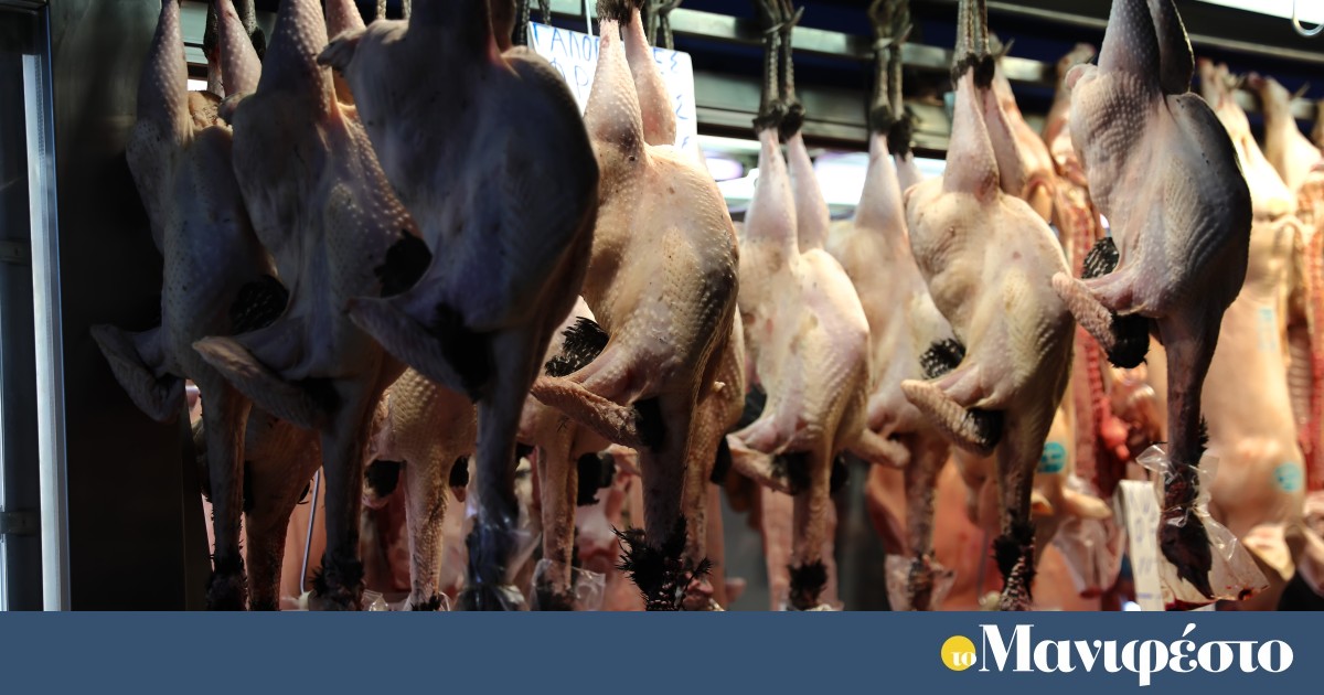 ΕΟΔΥ: συμβουλές για την αποφυγή τροφικής δηλητηρίασης στις γιορτές