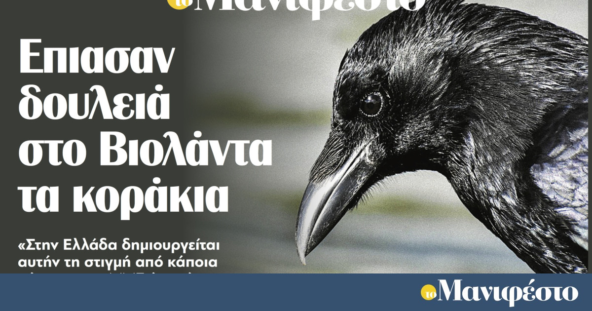 Διαβάστε στην εφημερίδα «το Μανιφέστο»: Επιασαν δουλειά στο Βιολάντα τα ...